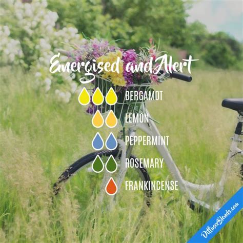 Energised And Alert Essential Oil Diffuser Blend Essential Oils