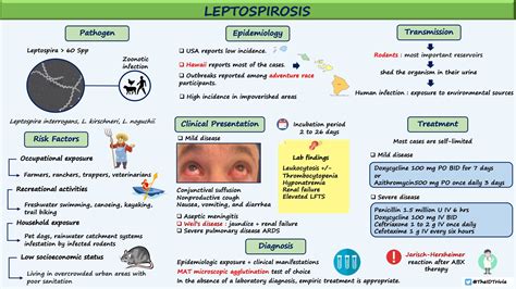 Leptospirosis