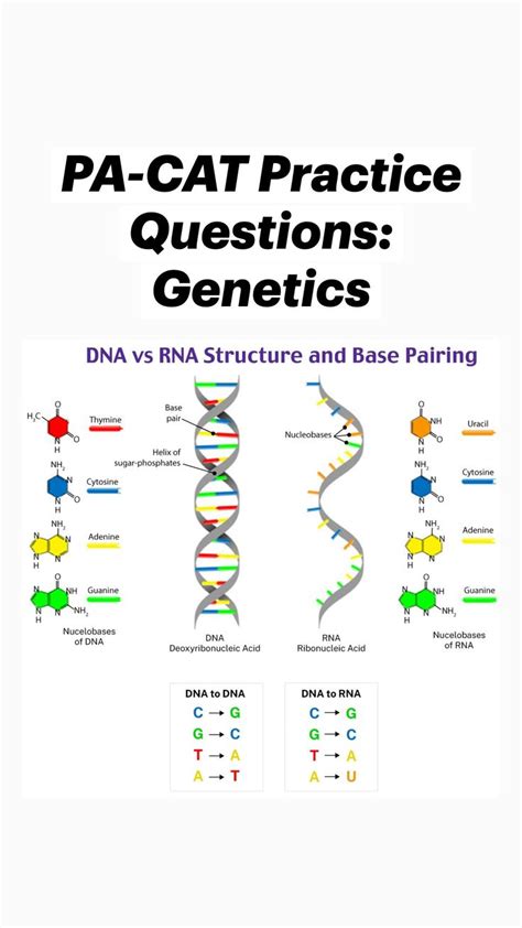 Pa Cat Practice Questions Genetics Physician Assistant School