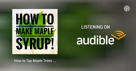 How To Tap Maple Trees For Maple Syrup How To Make Maple Syrup Podcasts On Audible