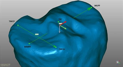 3d model in a coordinate system x axis red y axis green
