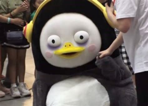 📝요즘 소식이 넘 뜸했죠😥 콜리 Colley