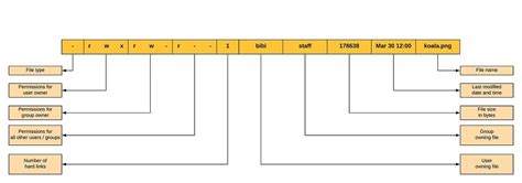 Linux File Permissions And Ownership By Udara Bibile Level Up Coding