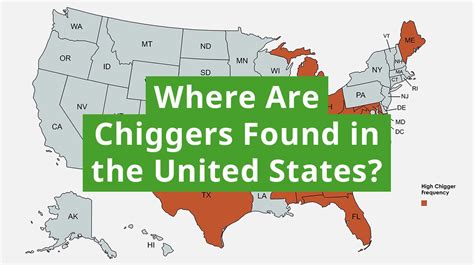 What States Have Chiggers In Winter