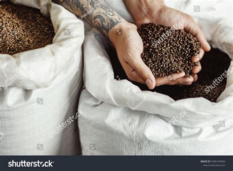 373 Raw Material For Alcoholic Beverage Industry Images Stock Photos Vectors Shutterstock