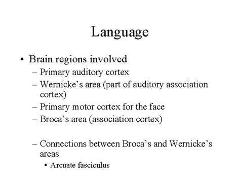 Cerebral Cortex 2 Heteromodal Association Cortex Multimodal Association