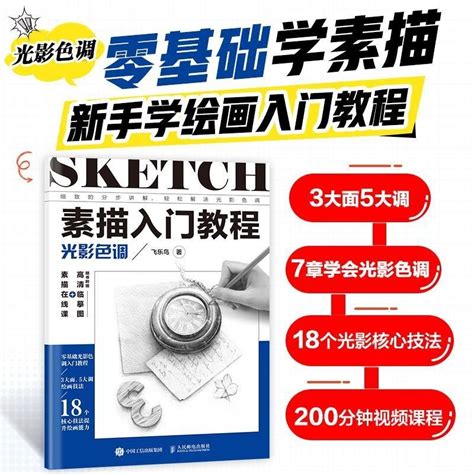 【全新書】素描入門教程 光影色調 素描基礎教程素描書入門鉛筆手繪素描光影簡體字 蝦皮購物
