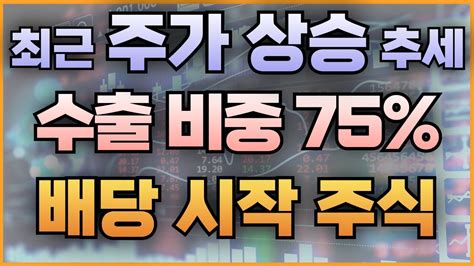 최근 주가 상승 추세 수출 비중 75 배당 시작 주식 Youtube