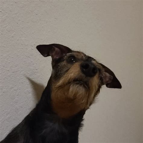 AIf ZZSlYq IlE TT EQ W C PjB F ELNrFim HhA S C K C X Ffffff No Rj