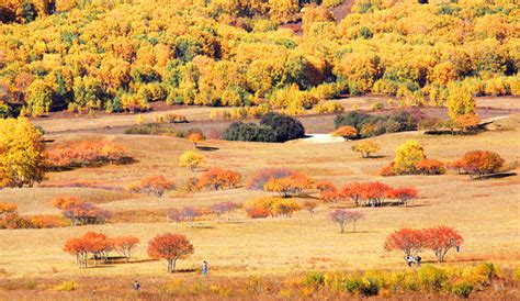 承德百花坡 承德 承德外八 第10页 大山谷图库