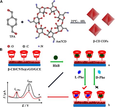 Frontiers Design Of Cyclodextrin Based Functional Systems For Biomedical Applications