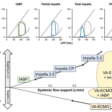 Differences Between Iabp Impella And Va Ecmo In Terms Of The Pv Loop Download Scientific