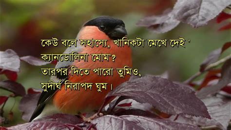 হেমন্তের বিপুল হর্ষধ্বনি আরণ্যক শামছ আবৃত্তি সেলিনা জাহান Youtube