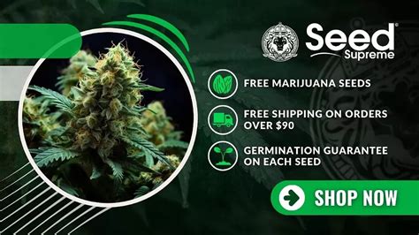 Best Seed Banks Of 2025 Reputable Seed Banks In The Usa To Buy Weed