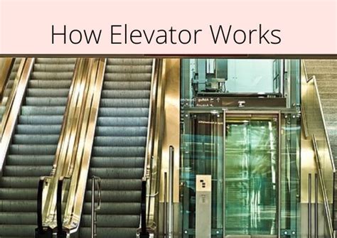 How Elevator Works Vintec Elevators Company In Delhi