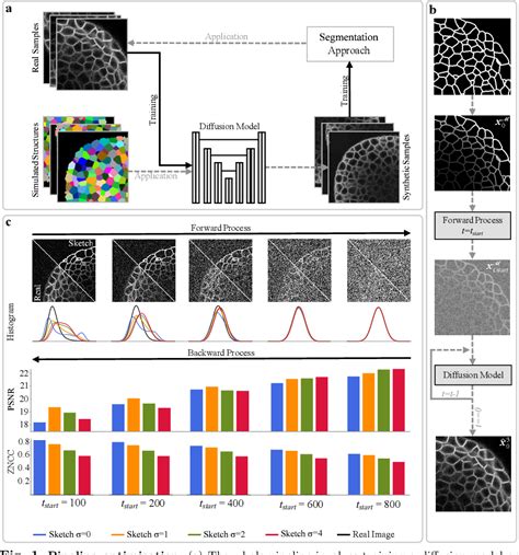 Figure From Denoising Diffusion Probabilistic Models For Generation Of Realistic Fully