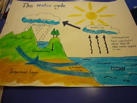 Mrs Naidoo Room How Terrariums Work Like The Water Cycle In Nature