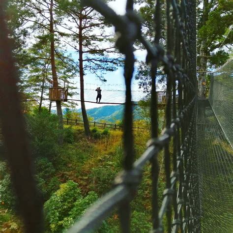 트리 하우스에서 보내세요 프랑스에서 온 어른의 놀이터 「공중 워크」예약＜영어・프랑스어 대응 가능＞나라 요시노 Kkday