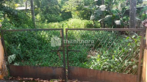 24 Cent Square Plot Kannapuram Olari Thrissur
