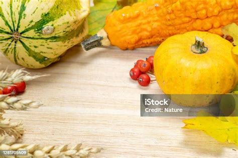 플랫 평지 가을 밀 곡물 귀 오렌지 호박 가을 말린 잎 붉은 열매와 도토리 나무 배경에 밤과 자연 수확 추수 감사절 이나 할로윈의 개념 10월에 대한 스톡 사진 및 기타