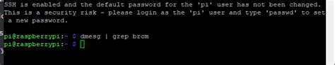 I M Suspecting A RPi Zero W I Bought Off Of Ebay Doesn T Have A Wifi Module Is There A Way To