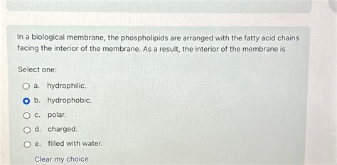 Solved In A Biological Membrane The Phospholipids Are