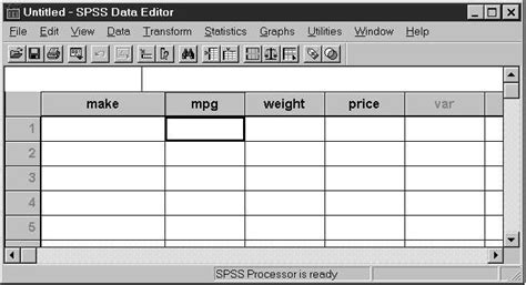 How To Input Data Into The SPSS Data Editor SPSS Learning Modules