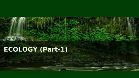 These Are The Documents Of Environmental Science Which Includes Forest Biodiversity Cheat