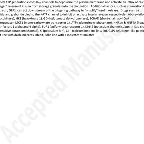 Schematic Beta Cell With Pathways Involved In Insulin Secretion