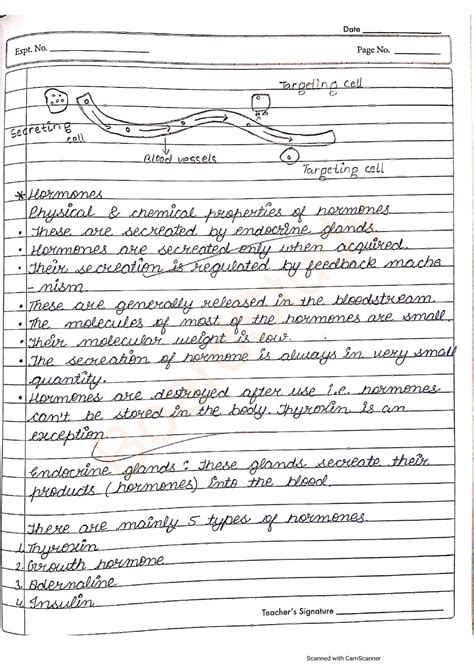 Class 10 Science Chapter 7 Control And Coordination Handwritten Notes