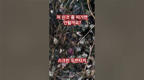 저 이것 좀 따가면 안될까요 웃낄 Youtube