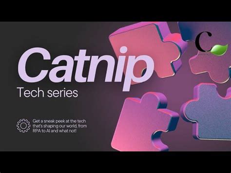 Catnip Infotech Private Limited On Linkedin Unlocking Efficiency In Hr With Rpa