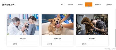 java计算机毕业设计宠物管理系统计算机（附源码、数据库） 宠物管理系统java与数据库代码 csdn博客