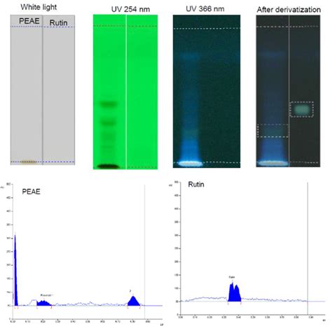 Hptlc Chromatogram And Densitogram Display Of Flavonoid Compound Of