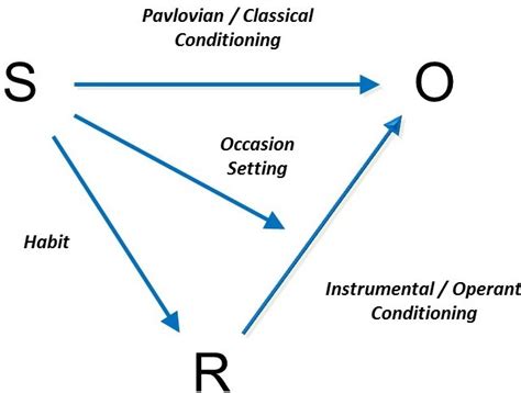 Classical Conditioning Diagram