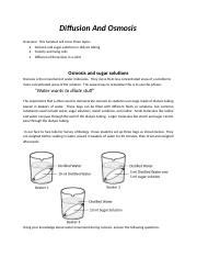 Diffusion Osmosis Online 1 Docx Diffusion And Osmosis Overview This Handout Will Cover Three