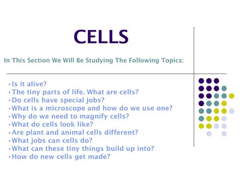 Cells Ks3 Powerpoint Year 7 Curriculum Press
