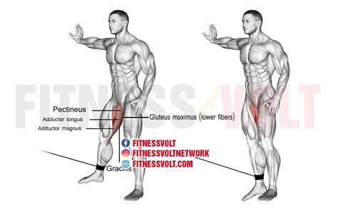 Cable Hip Adduction Hips Fitness Volt