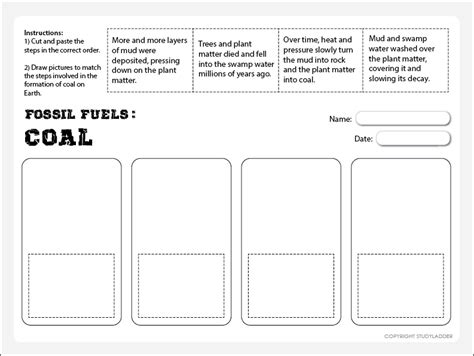 Steps Of Coal Formation Studyladder Interactive Learning Games