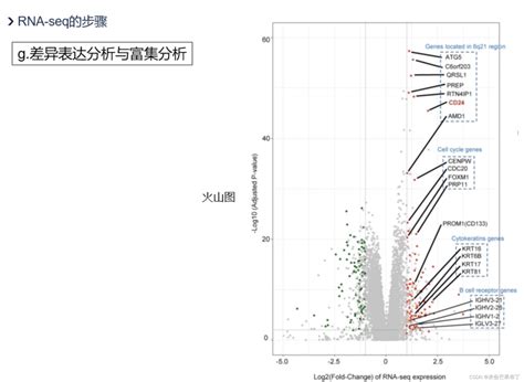 单细胞测序基础知识 单细胞rnaseq Adjust P Csdn博客