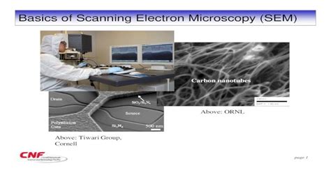 Pdf Basics Of Scanning Electron Microscopy Sem · Scanning Electron Microscope Sem N The