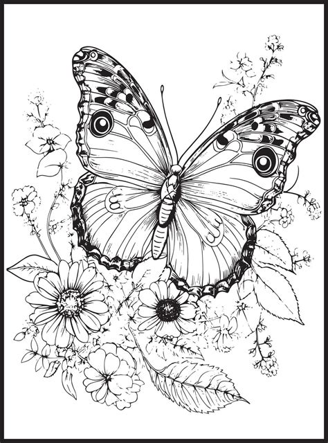 Butterfly Coloring Pages For Adults 23134369 Vector Art At Vecteezy