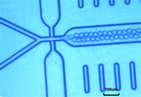 Team Sustech Shenzhen Hardware Double Emulsion System