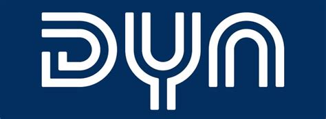 Wie Kann Man Dyn Empfangen Alle Möglichkeiten Im Überblick