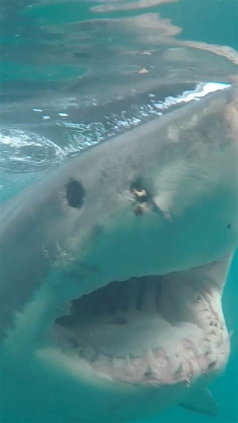 Yash Raaj Singh Yashraajsingh • Instagram Photos And Videos