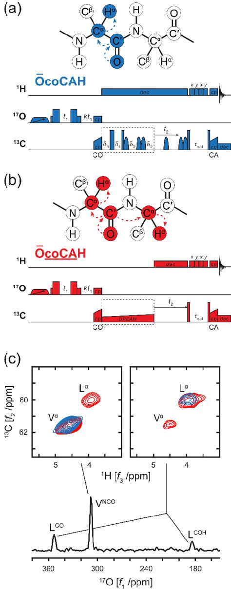 Pulse Sequence Diagrams And Polarization Transfer Pathways For The 3d 1
