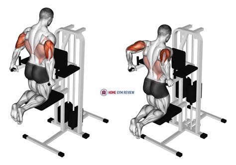 Assisted Triceps Dip Home Gym Review
