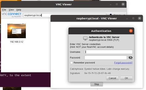 Raspberry Pi VNC Ubuntu