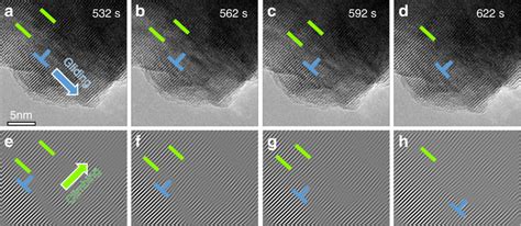 Dynamic Gliding And Transverse Movement “climbing” Of A C2 001 Download Scientific Diagram