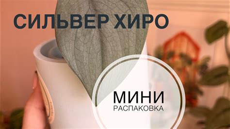 Распаковка Сильвер Хиро |ожидание -реальность | что меня разочаровало в ...